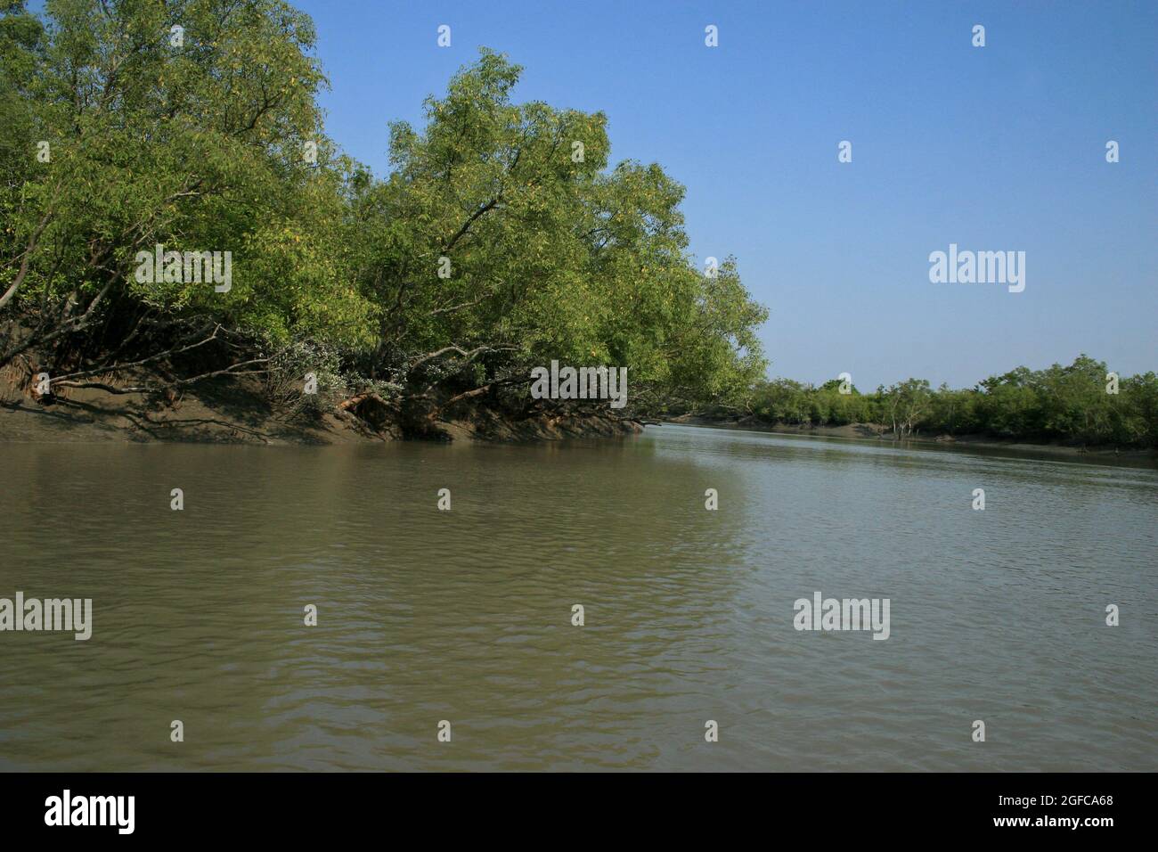 A view of Sudarbans. Sundarban is the largest mangrove forest of the ...