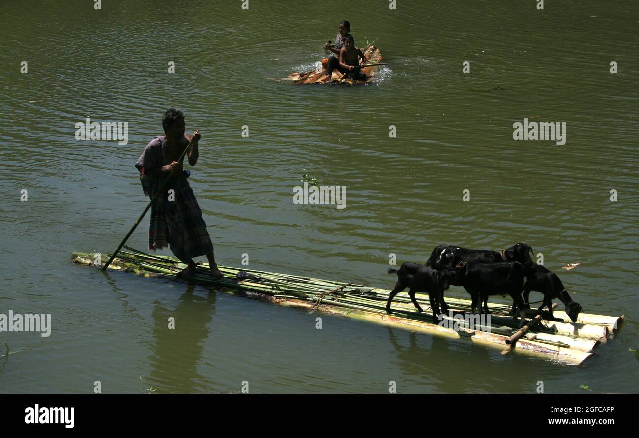 Goats on raft hi-res stock photography and images - Alamy
