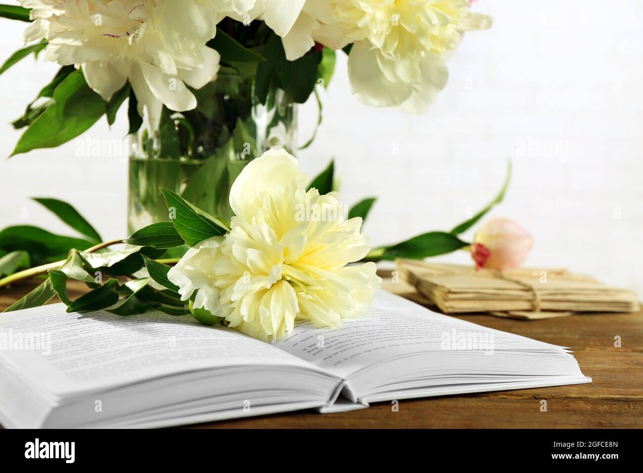 Composition with beautiful peony flowers and open book on white wall ...