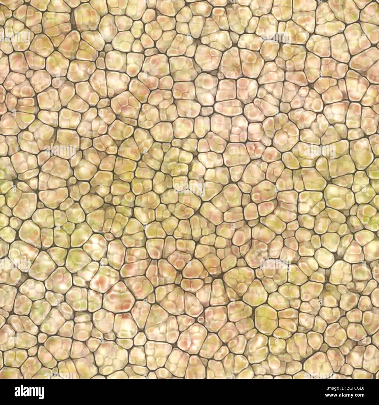 Cartoon seamless texture of color fantasy cobble stone ground pavement ...