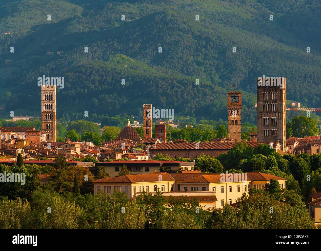 Lucca charming historic center skyline with old buildings and medieval ...