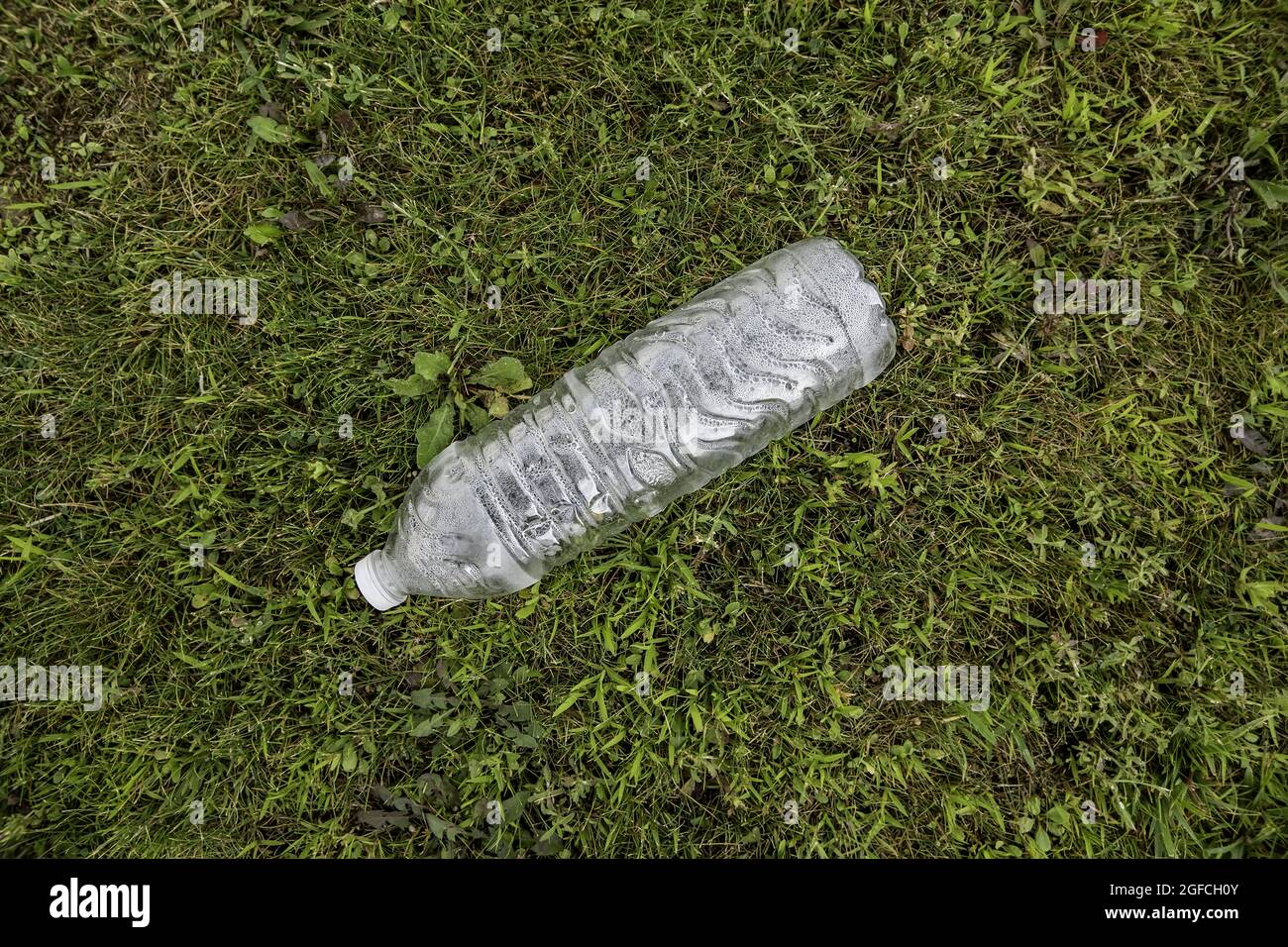 Detail of plastic water bottle in nature, polluting garbage Stock Photo ...