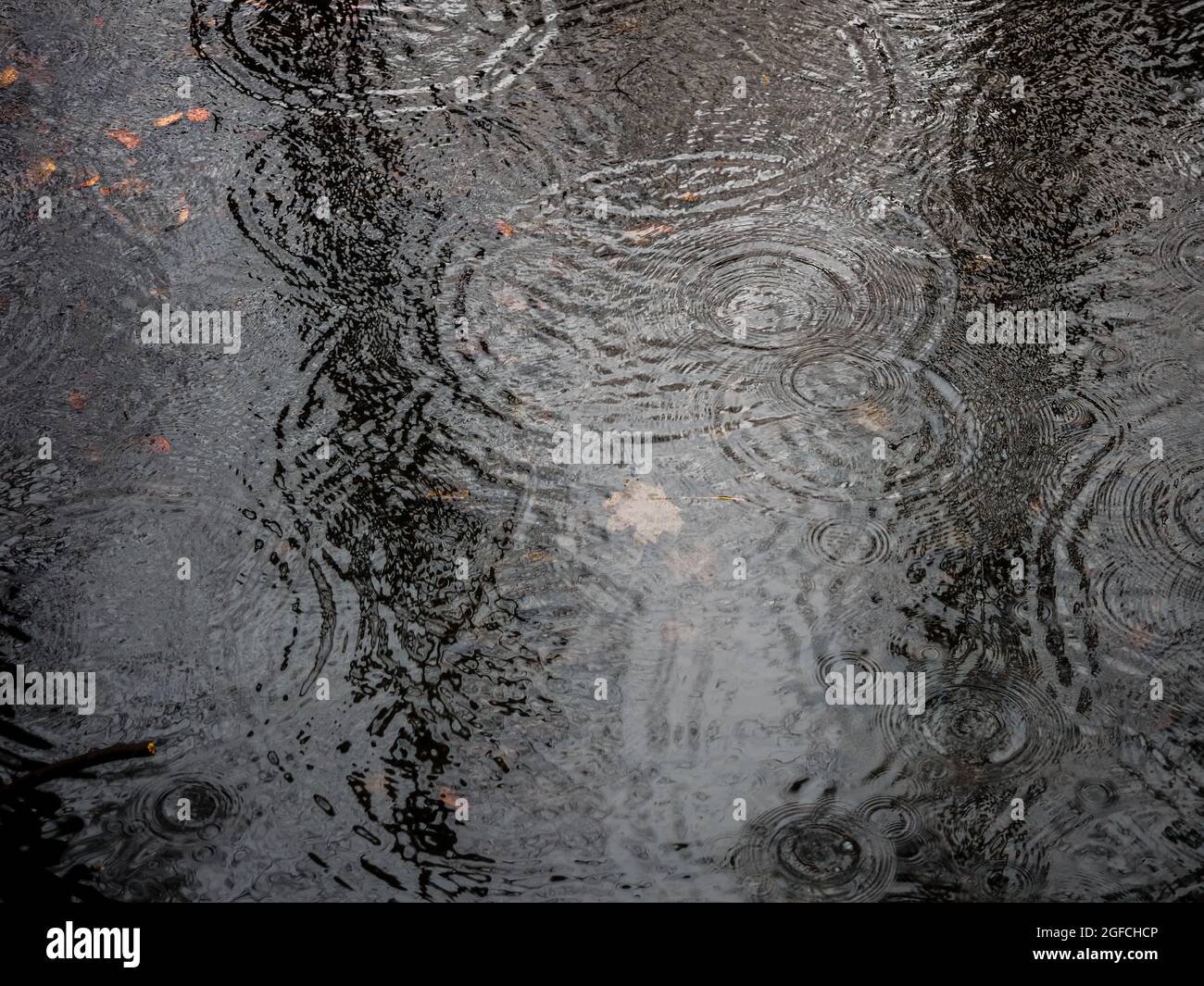 Ripple water in a rainy day. Heavy rain water drops on surface street ...