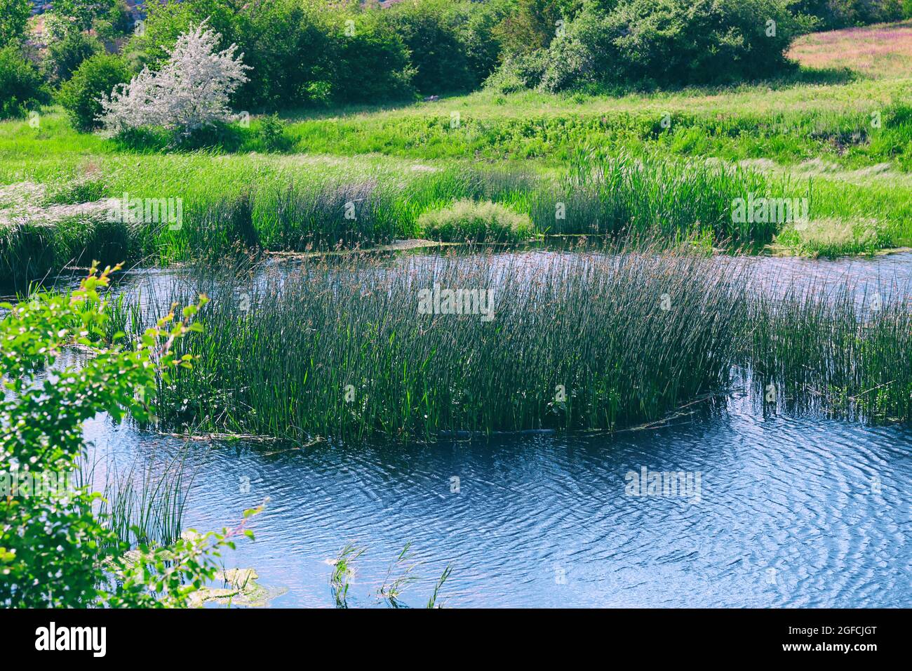 View on the river Southern Bug Stock Photo - Alamy