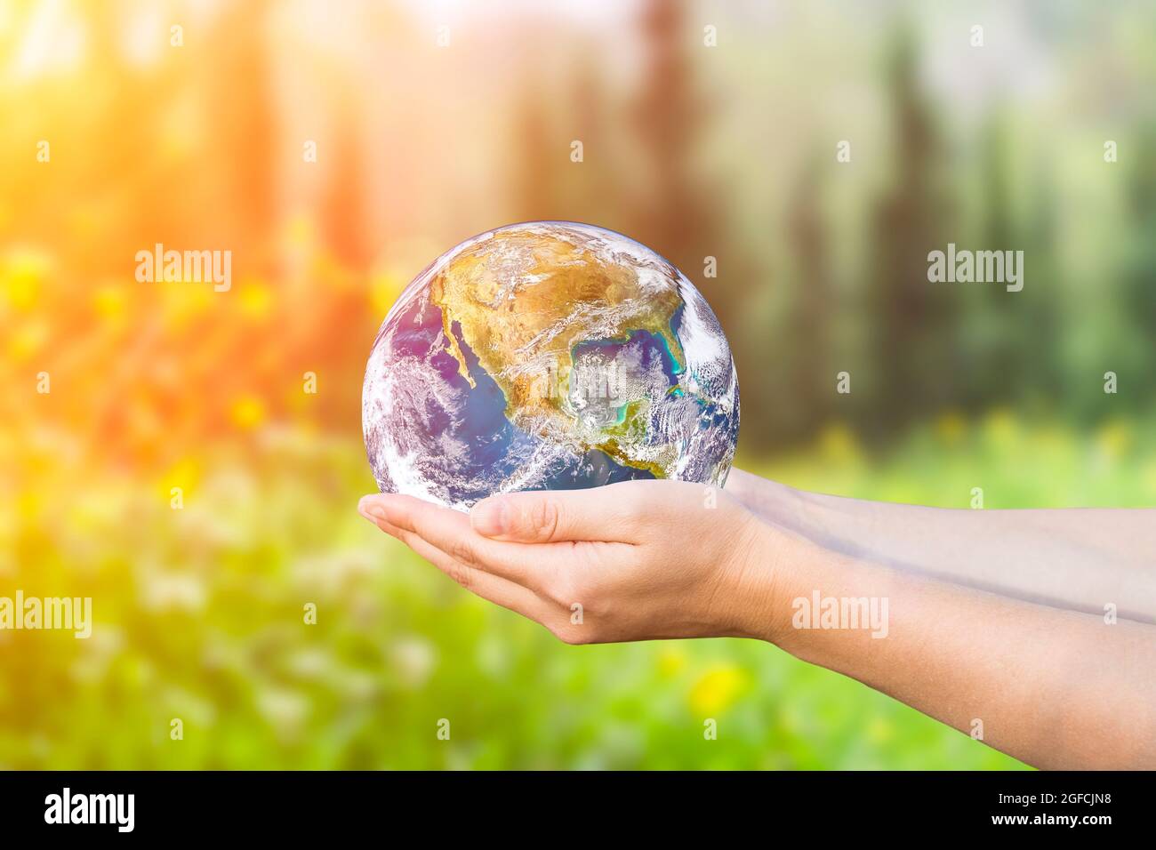 Environmental protection and nature conservation concept. Planet earth ...