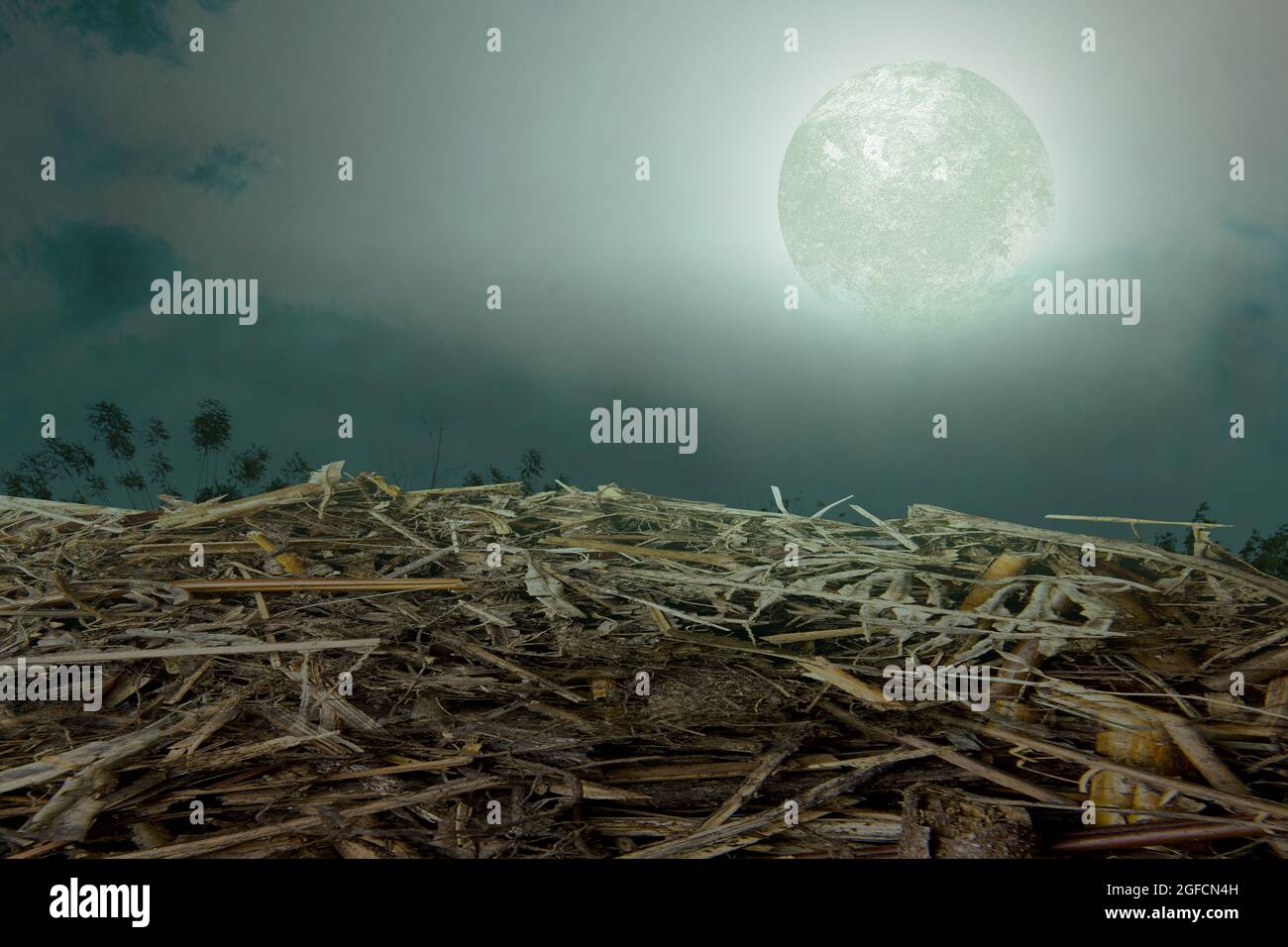 Dramatic moon mist hi-res stock photography and images - Alamy