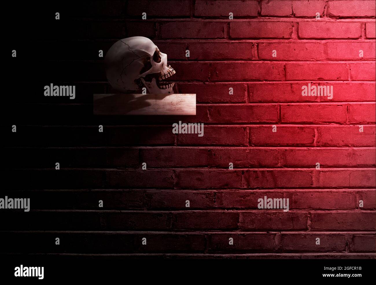 Human skull on brick wall background Stock Photo - Alamy
