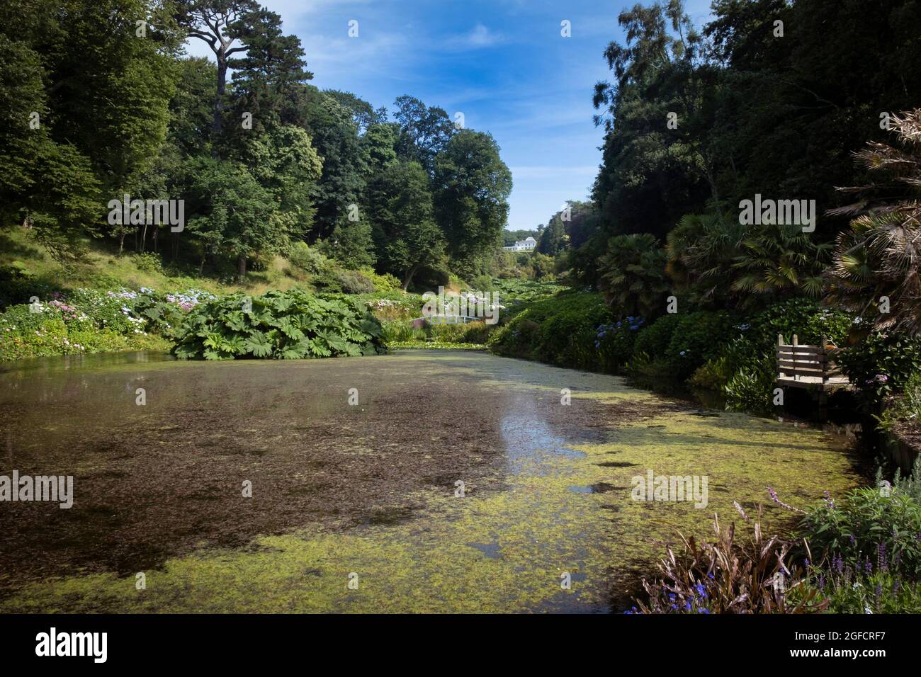 A spectacular view from below the Mallard Pond in the stunning sub ...