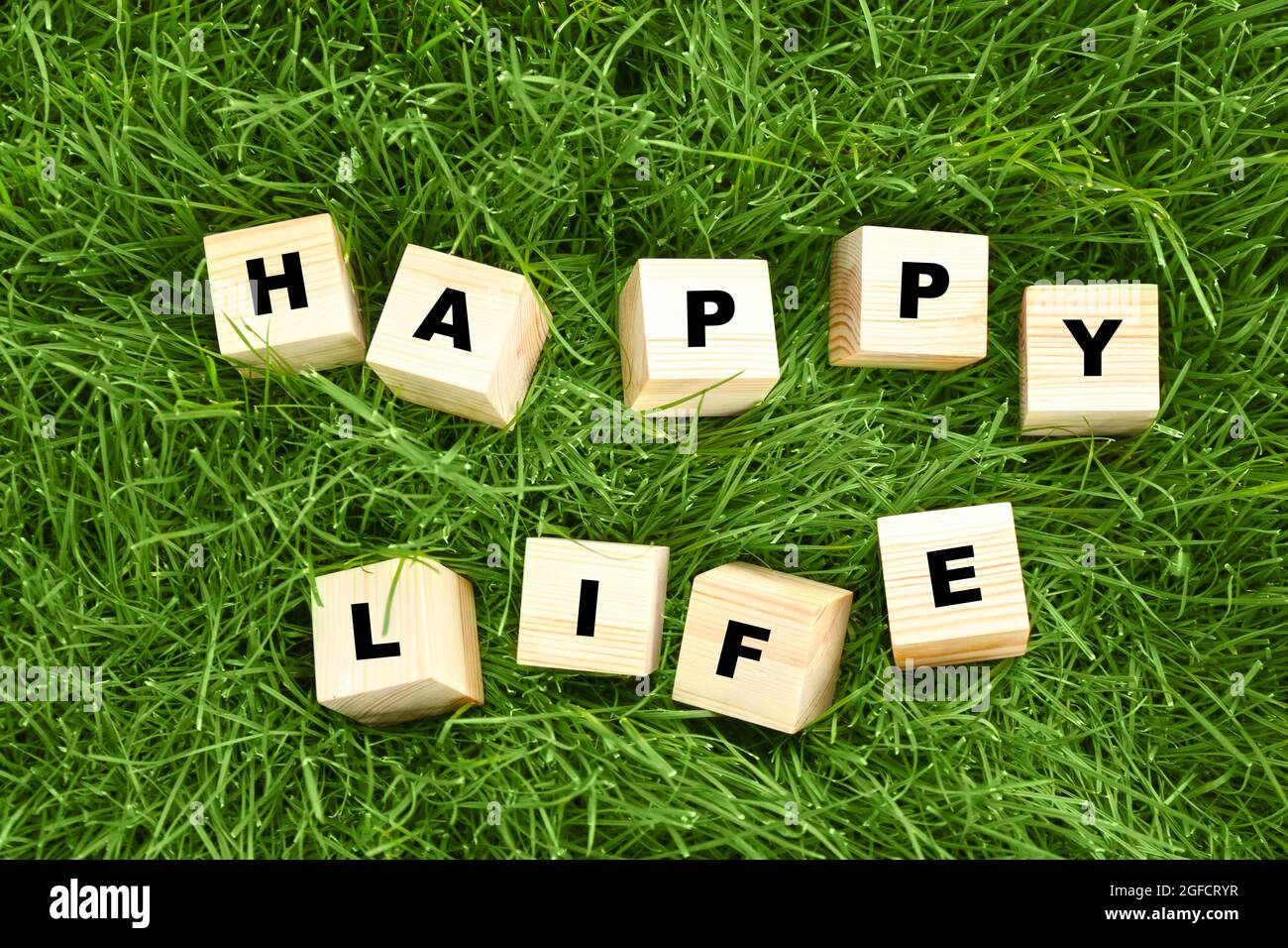 Words HAPPY LIFE on green grass Stock Photo - Alamy