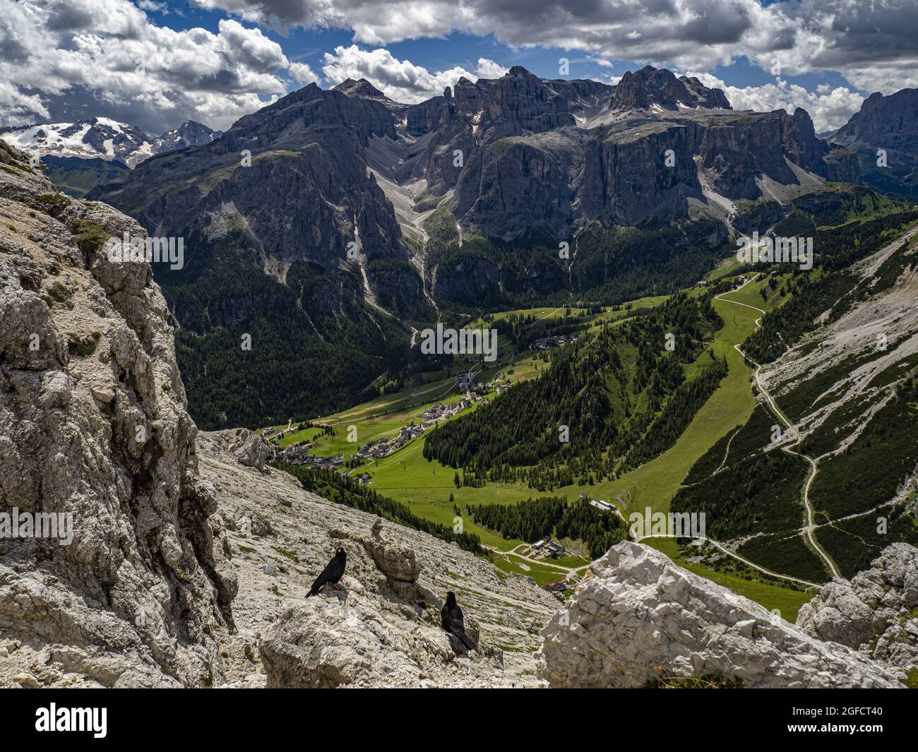 Animal bird dolomites hi-res stock photography and images - Alamy