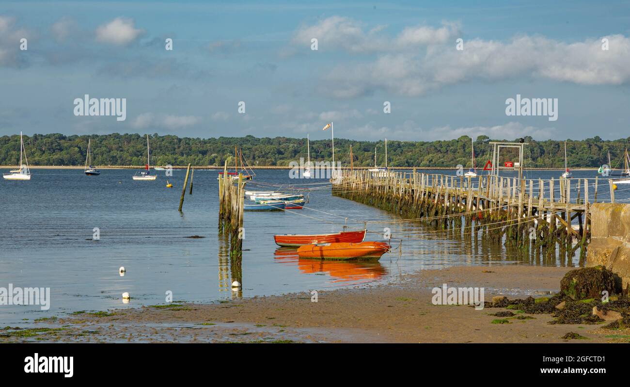 Whiteley wood hi-res stock photography and images - Alamy