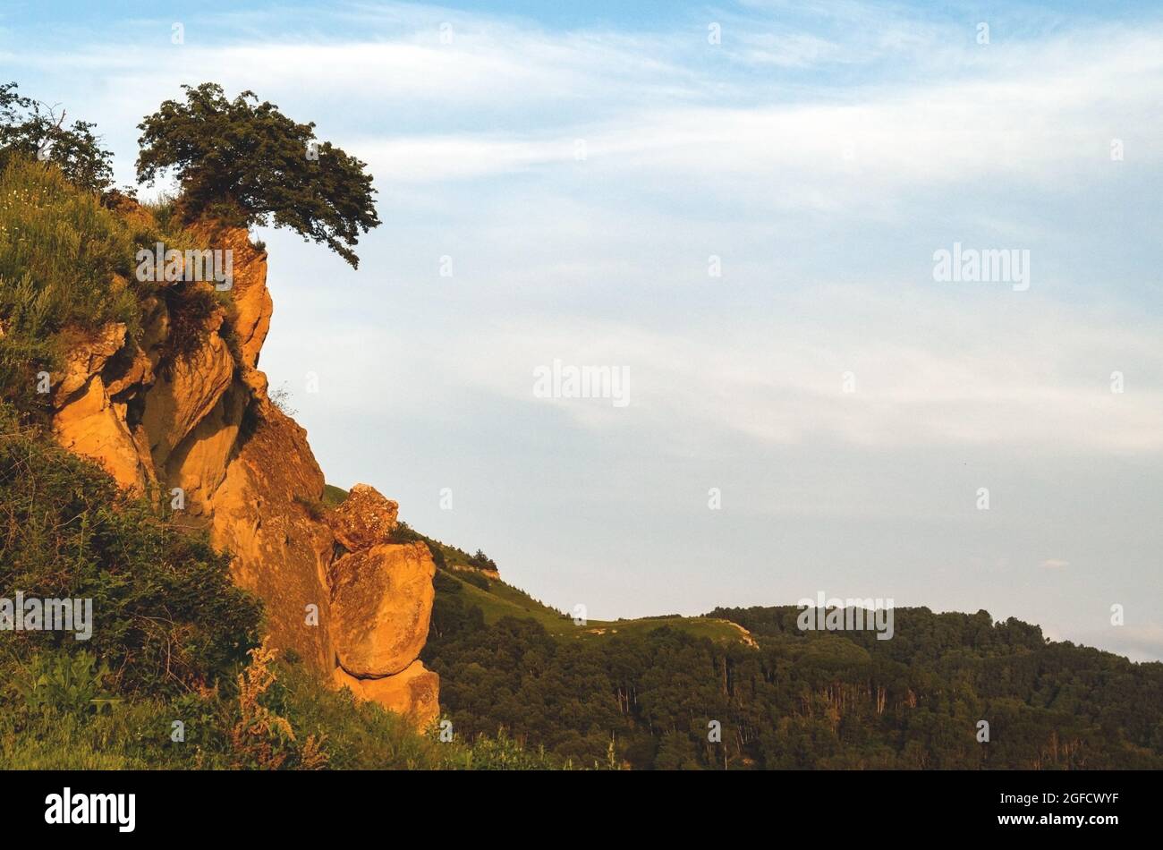 tree growing out of the rock at sunset. Colorful landscape with old ...
