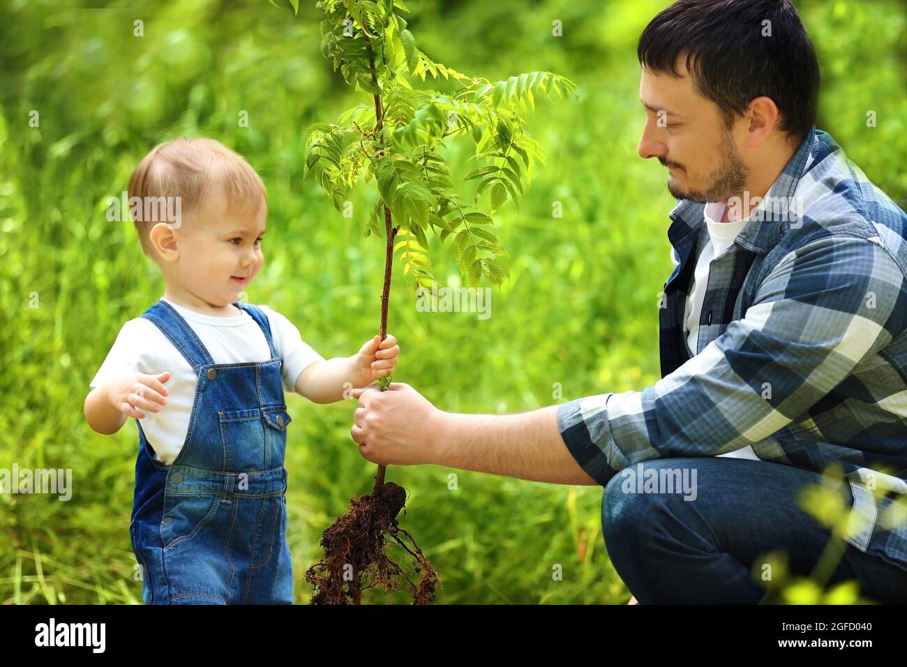 Cute baby boy planting tree with parent in garden Stock Photo - Alamy