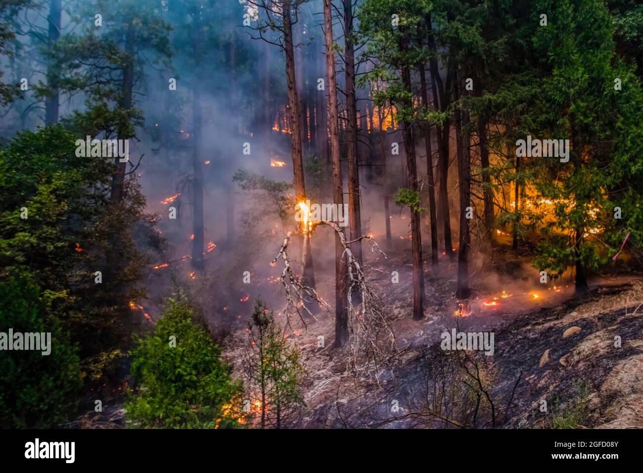 Tahoe basin, California, USA. 23rd Aug, 2021. The Caldor fire burns on ...