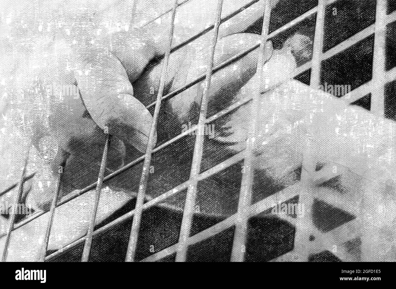 Close-up of a woman's hand holding a metal lattice. Woman's fingers ...