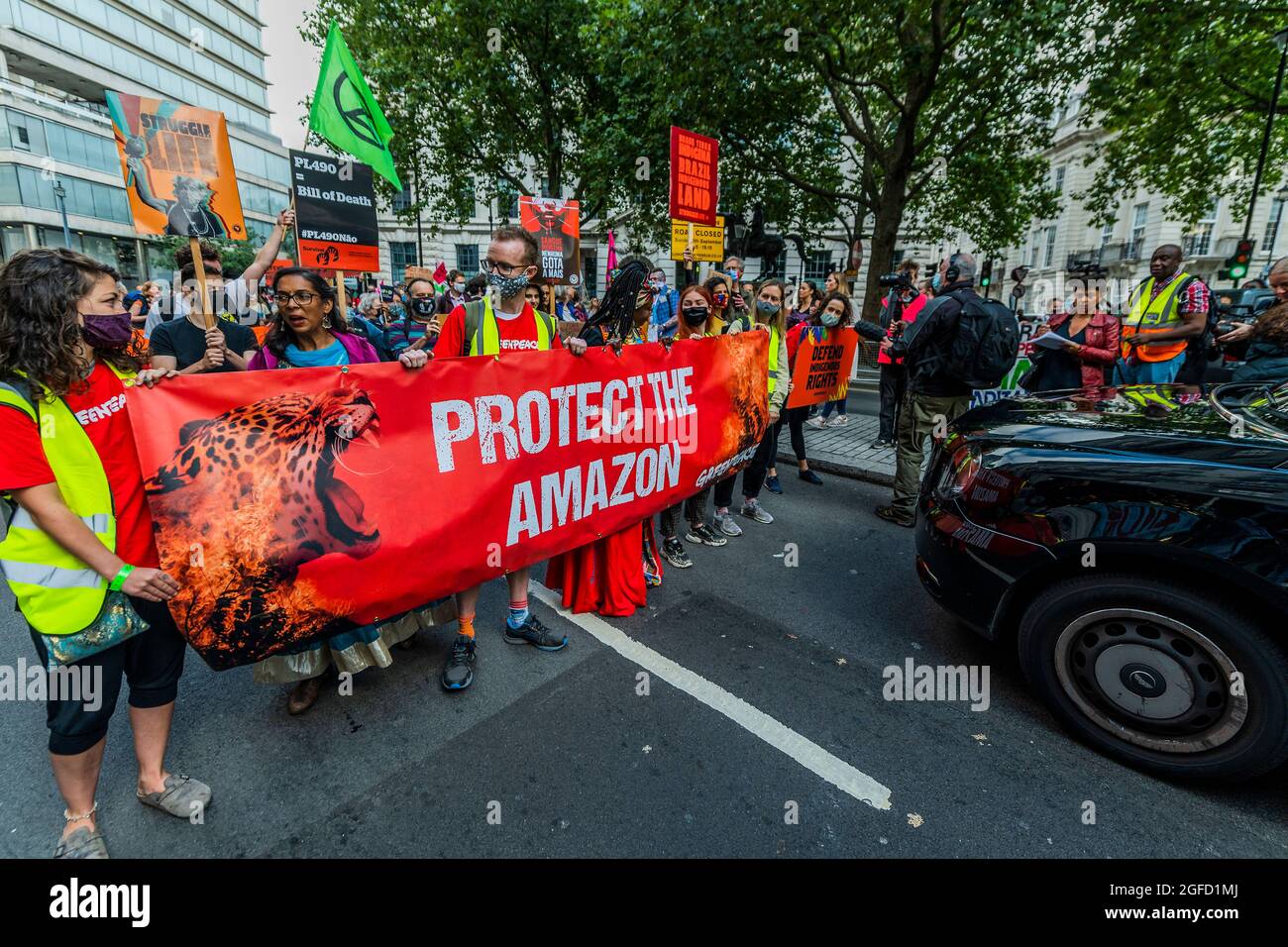 Marco temporal hi-res stock photography and images - Alamy