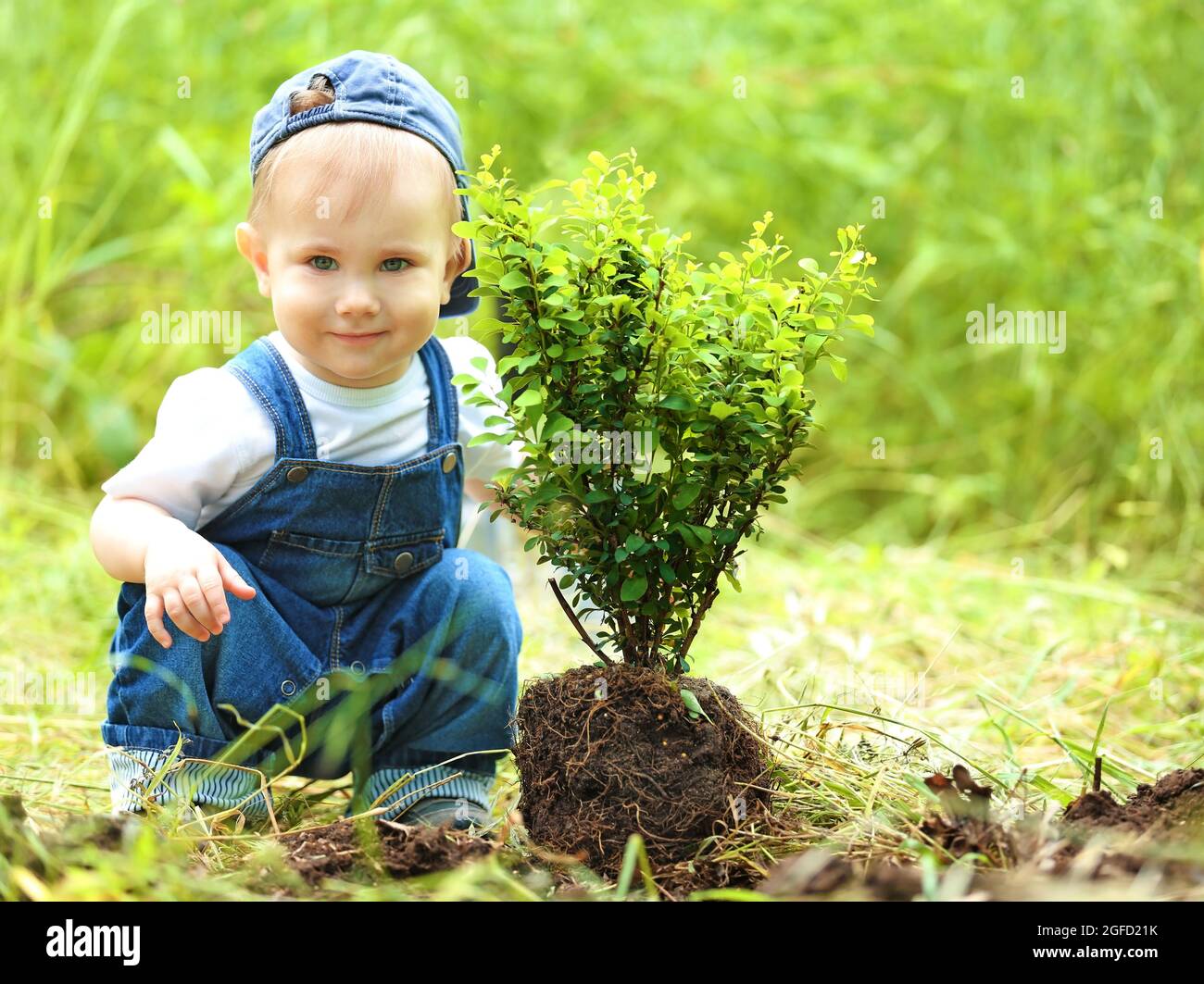 Cute baby boy planting tree in garden Stock Photo - Alamy