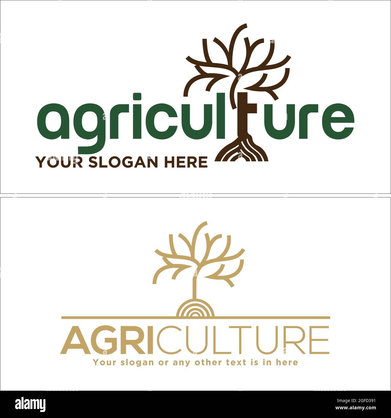 Brown rice tea Stock Vector Images - Alamy