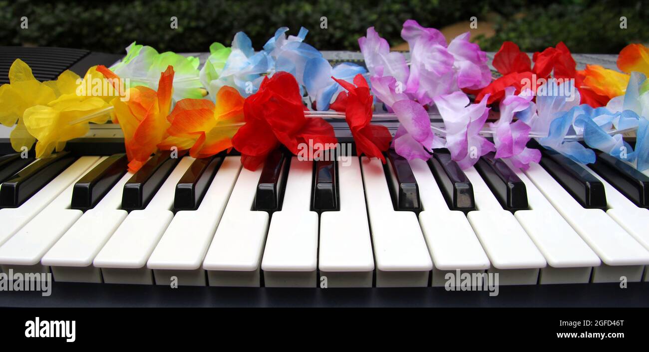 Colorful Piano Keys Wallpaper