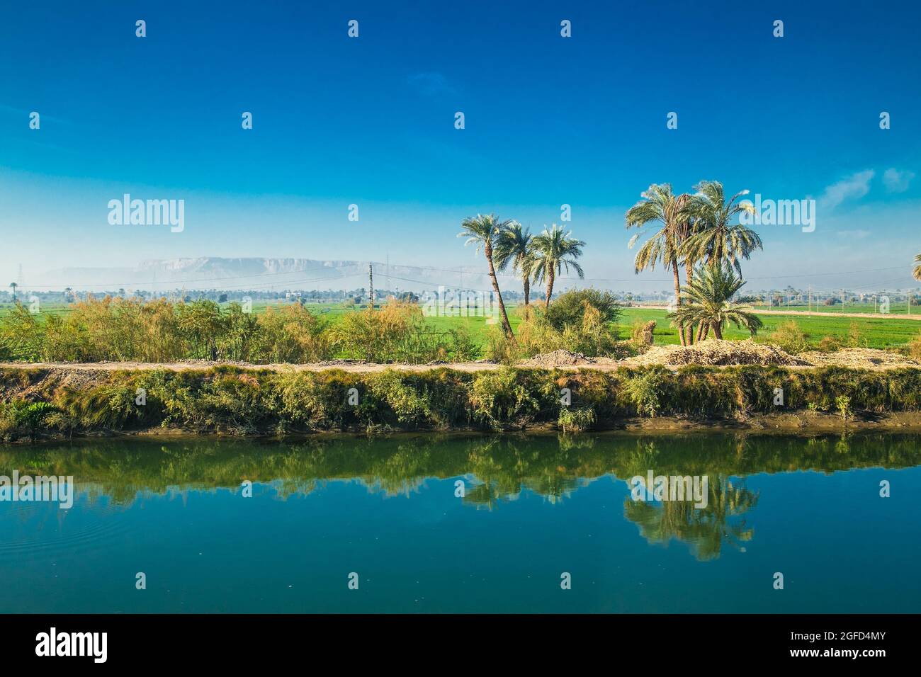 Egyptian countryside near the Nile irrigation canal . Green landscape ...