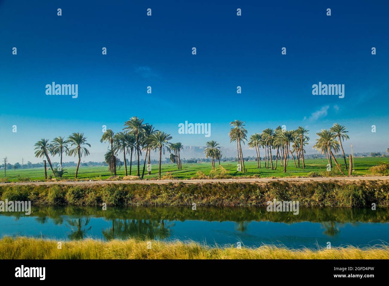 Egyptian countryside near the Nile irrigation canal . Green landscape ...