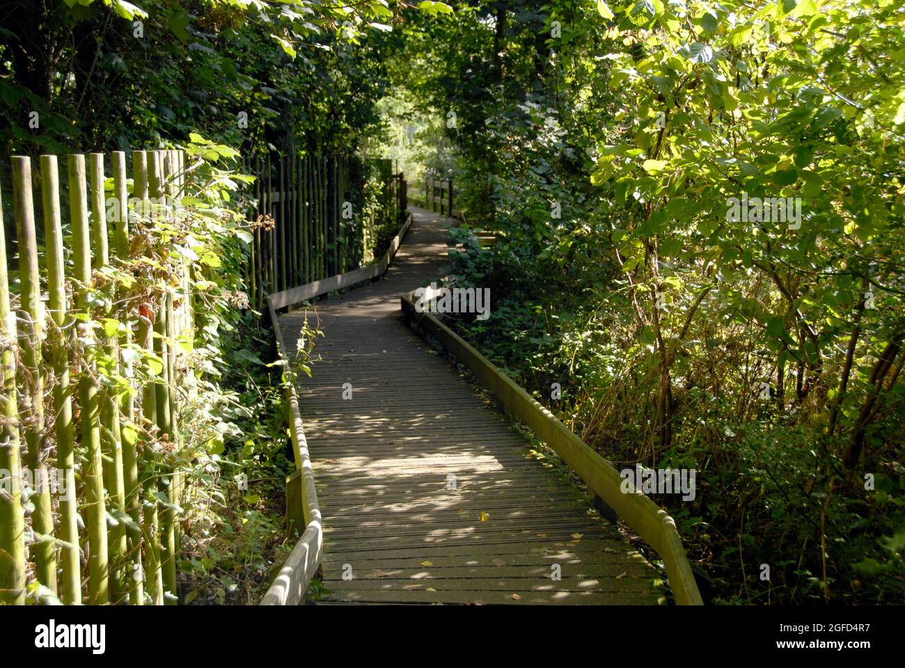 No entry for pedestrians hi-res stock photography and images - Alamy