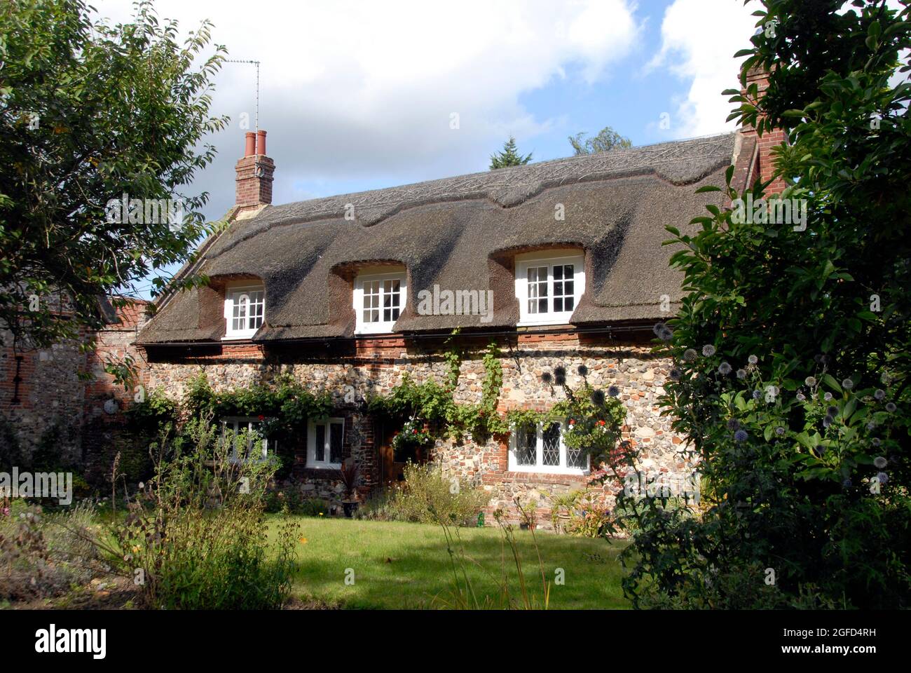 Attractive thatched cottage in the village of Ranworth, Norfolk ...