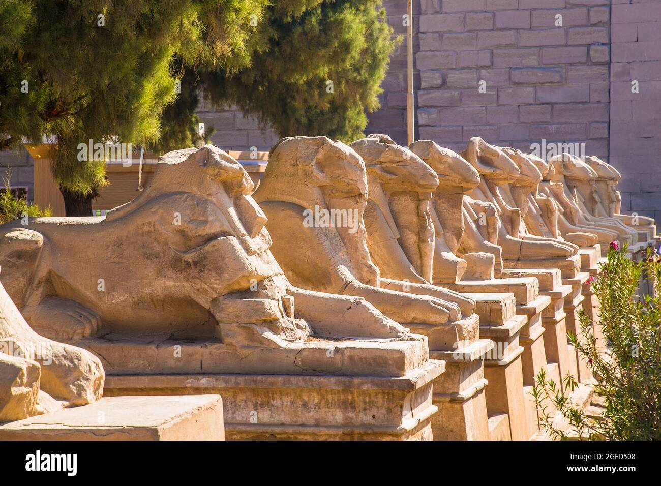 Row of ancient sculptures of criosphinx in Karnak Temple , Luxor ...