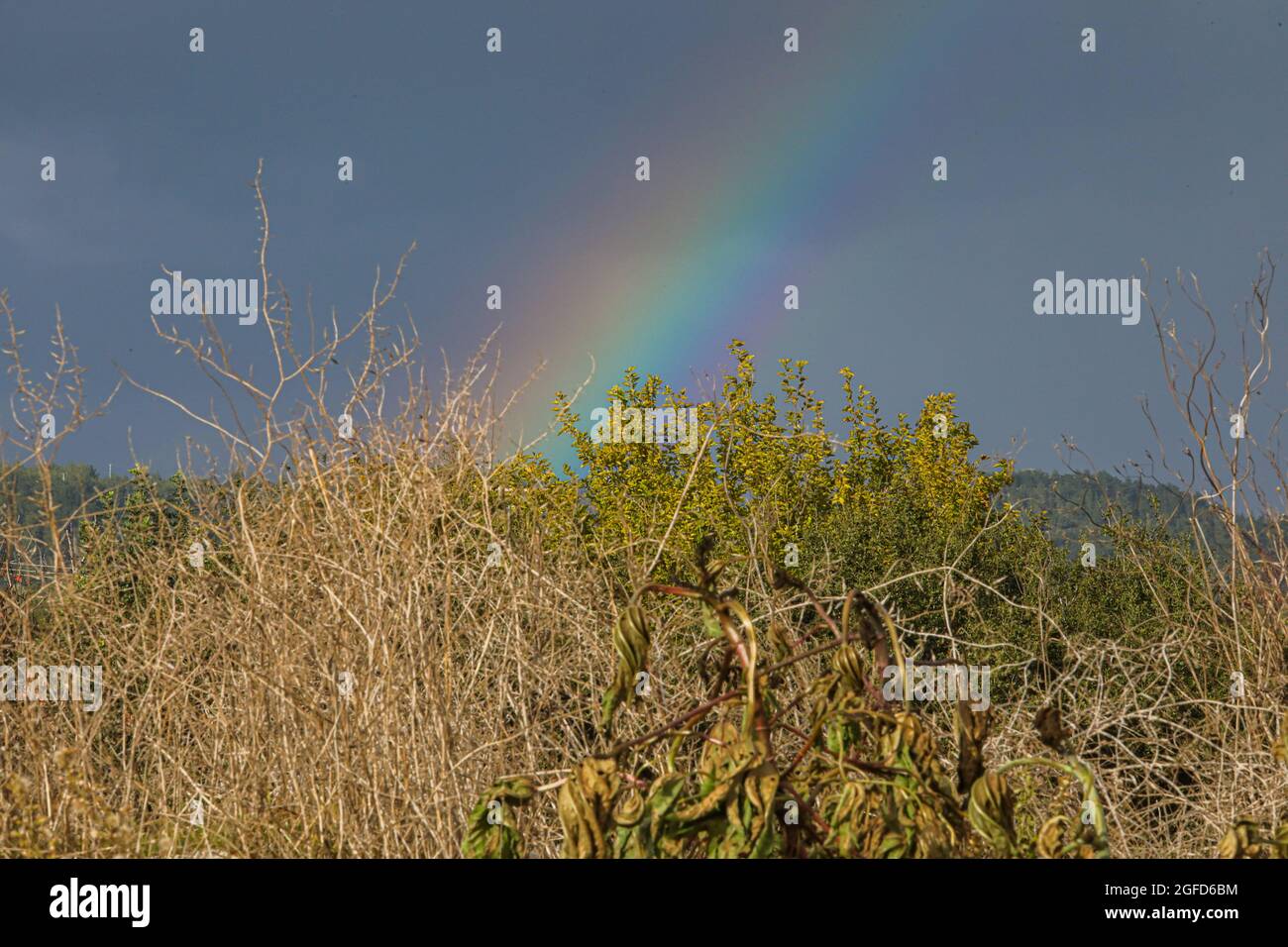 Rainbow. Photographed on the Israeli Lebanese Border in winter December ...