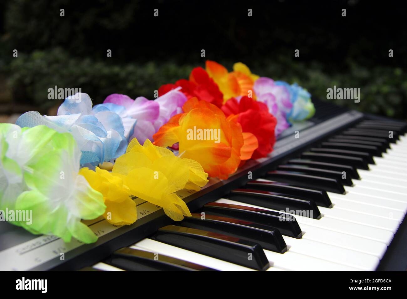 Colorful flower decoration hi-res stock photography and images - Alamy