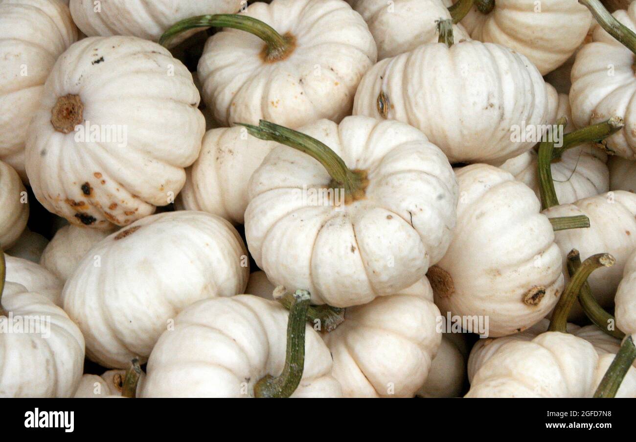 Closeup shot of fresh garlic Stock Photo - Alamy