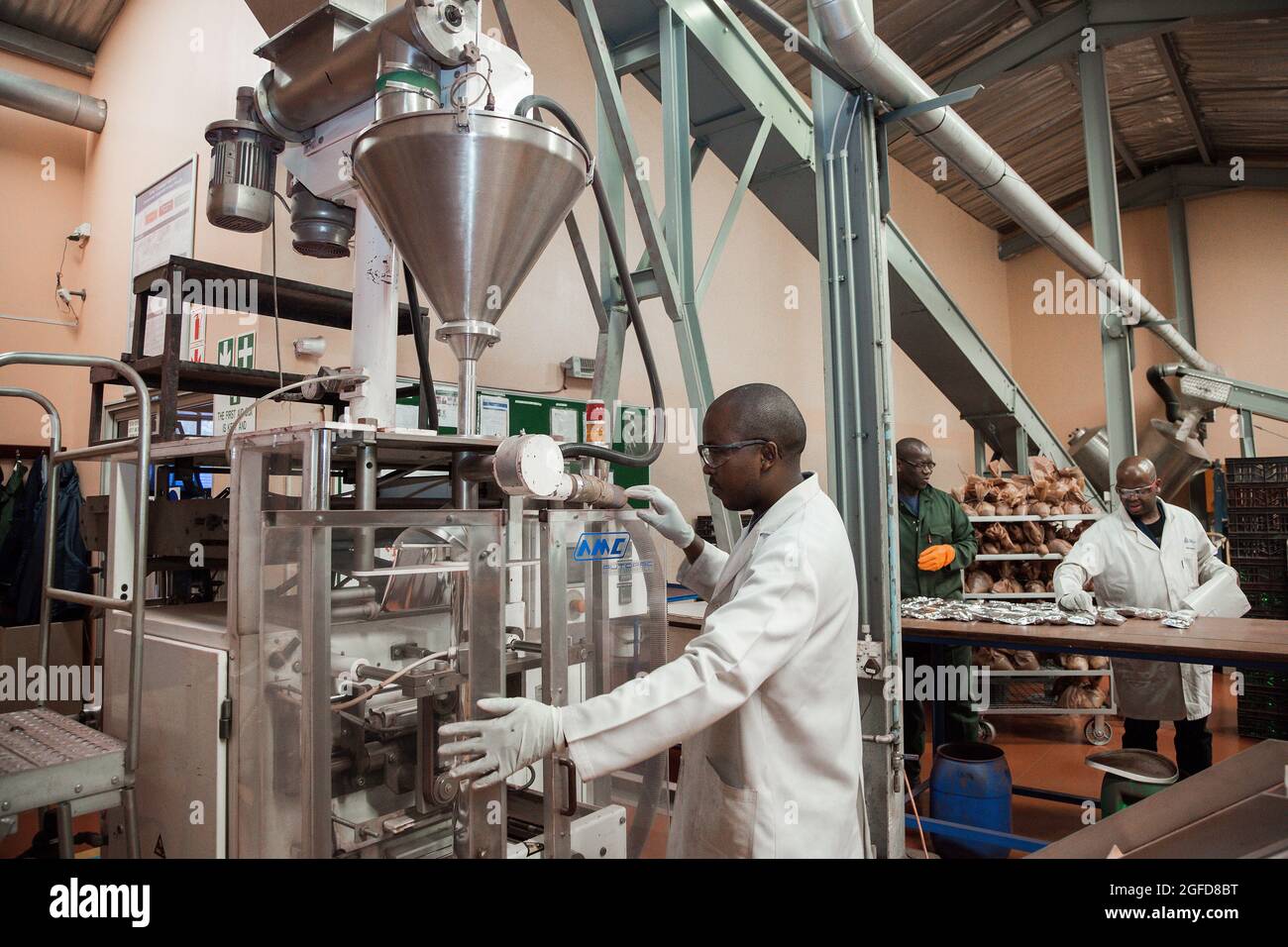 JOHANNESBURG, SOUTH AFRICA - Aug 05, 2021: African geologists working ...