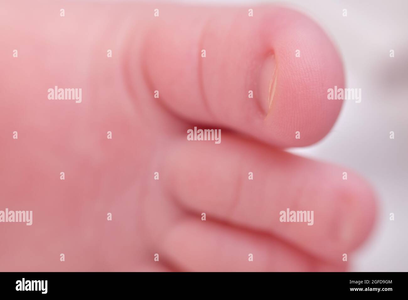 Toes on the foot of a newborn baby, close-up. Macro photo of a healthy ...