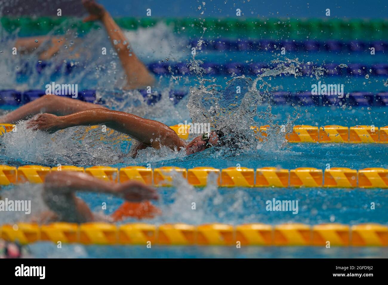 Elizabeth marks hi-res stock photography and images - Alamy