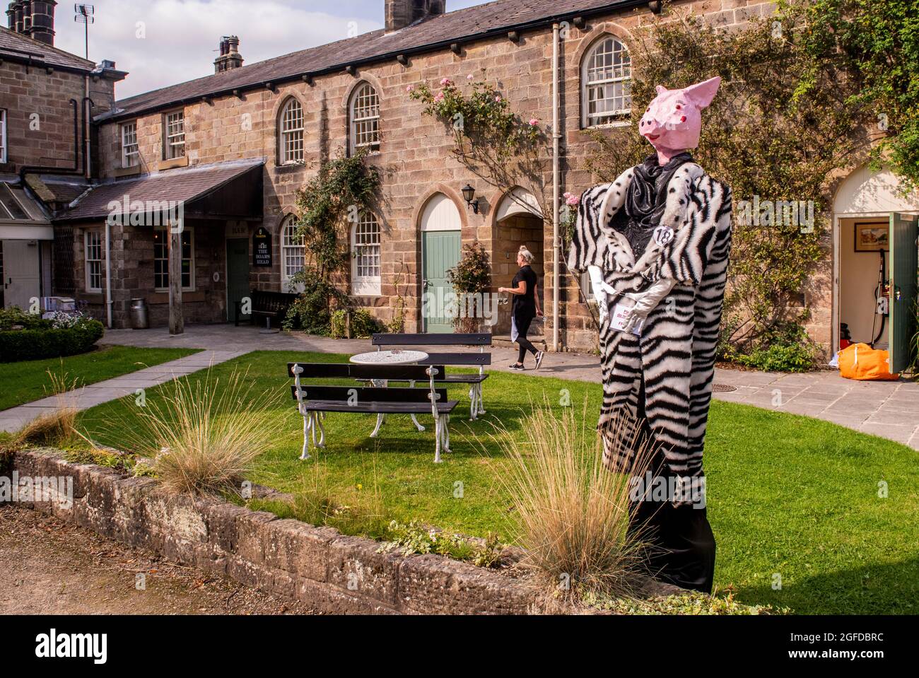 Ripley, North Yorkshire, 25th August 2021. One of the scarecrow pigs at ...