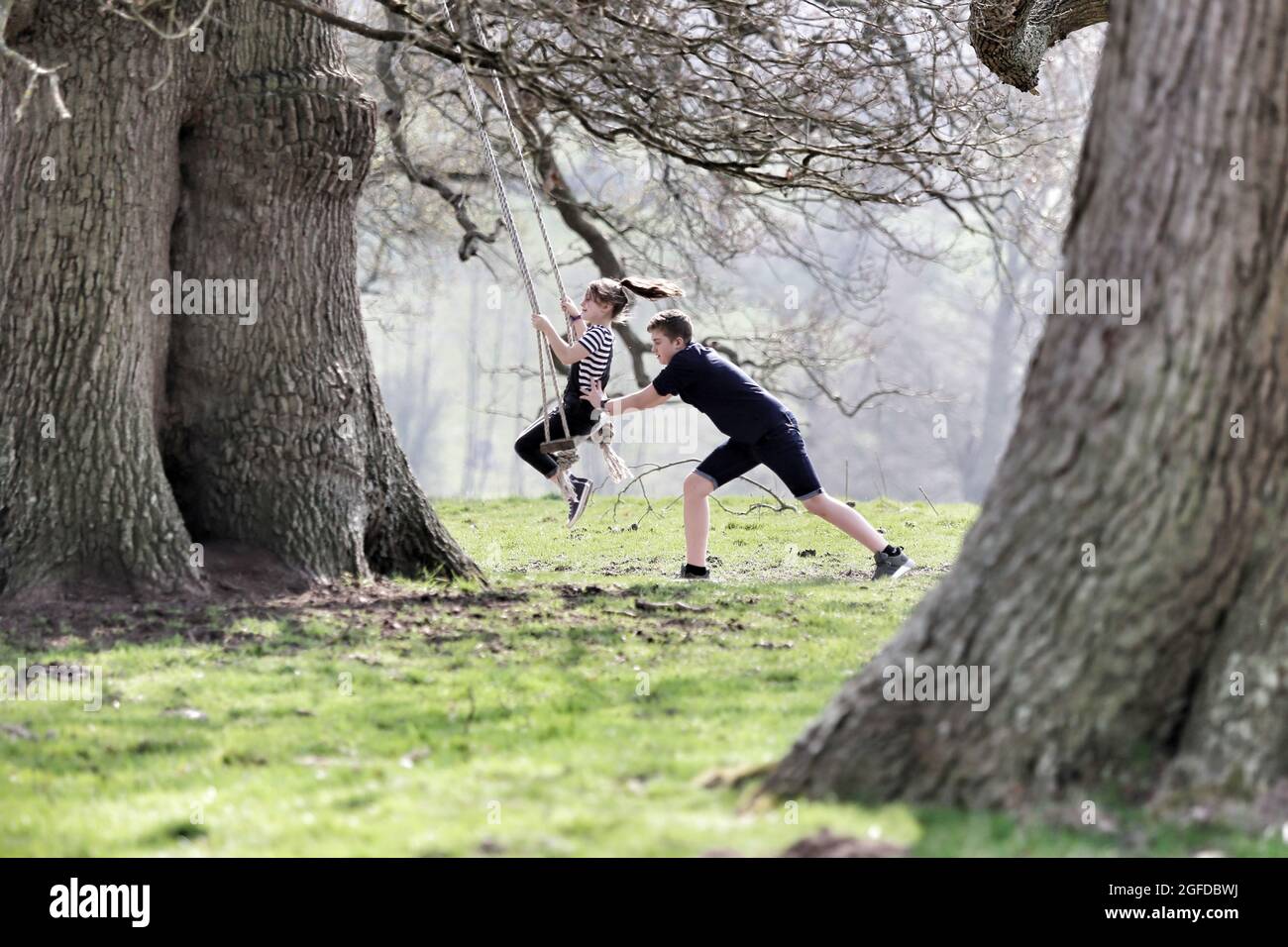 Oak tree with swing hi-res stock photography and images - Alamy