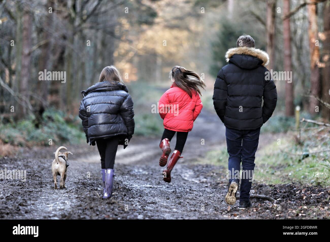 Spring in your step Stock Photo - Alamy