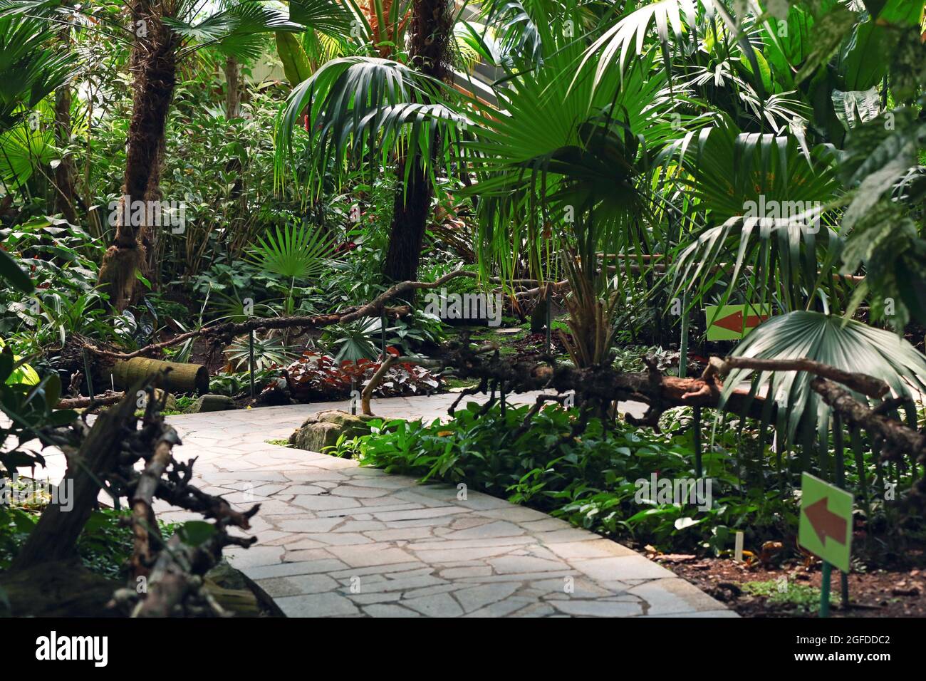 Pathway in botanical garden Stock Photo - Alamy