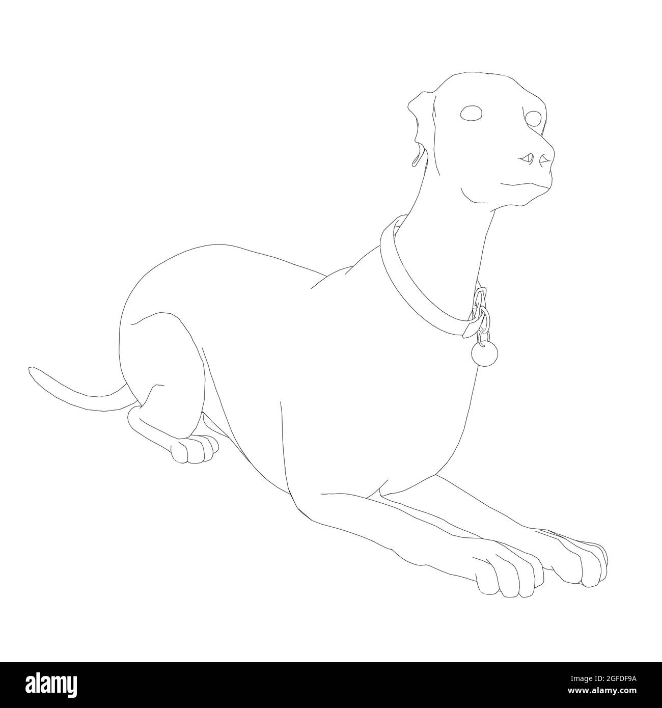 Labrador dog contour from black lines isolated on white background ...