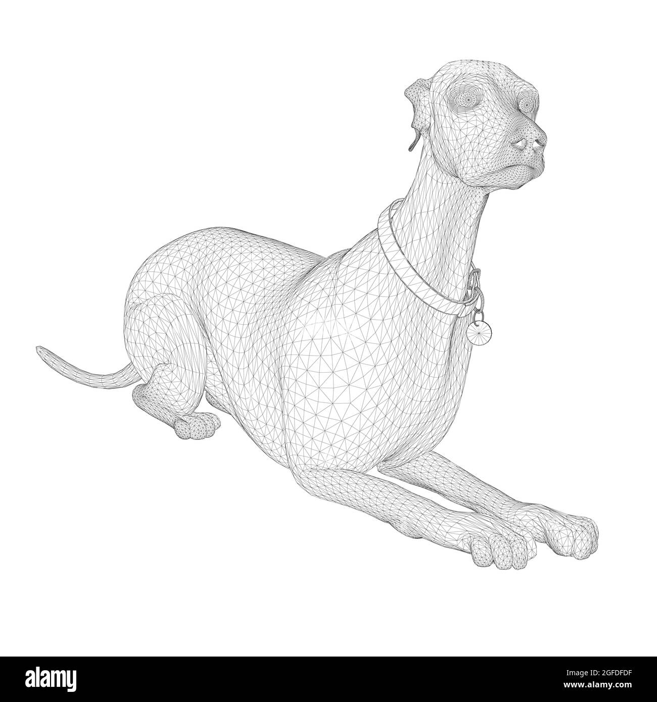 Wireframe labrador dog from black lines isolated on white background ...