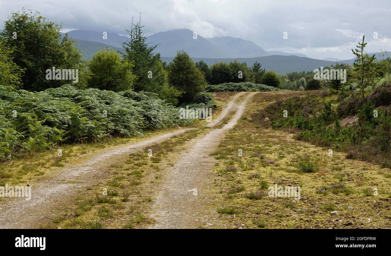 Scottish highlands walk hi-res stock photography and images - Alamy