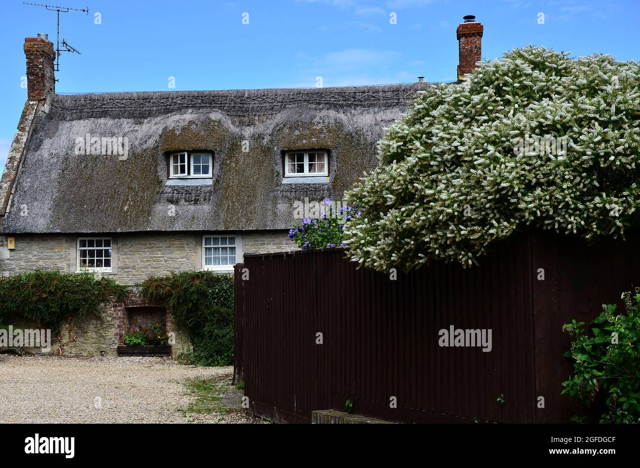 Thatched cottage in Yetminster village in Dorset UK Stock Photo - Alamy