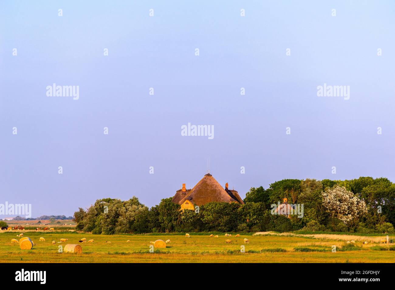 Fertile marshlands hi-res stock photography and images - Alamy