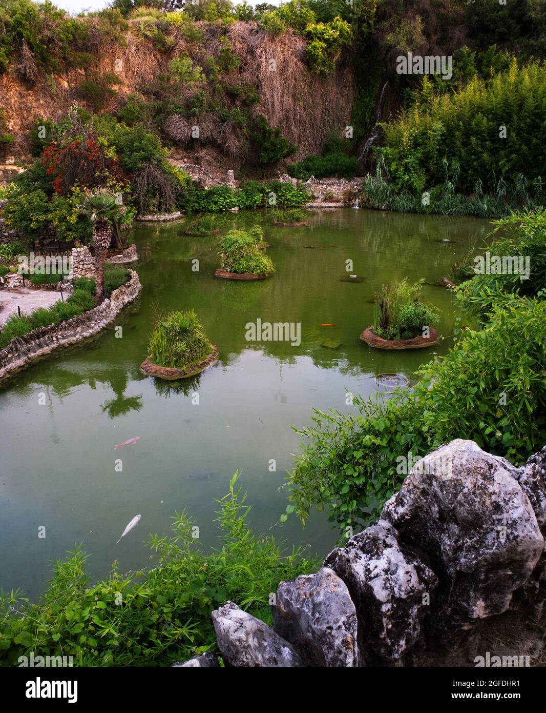 Japanese tea gardens Stock Photo - Alamy