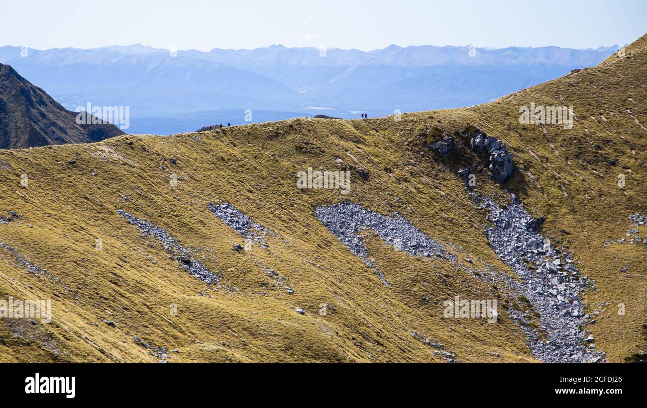 Hiking the Kepler Track, Fiordland National Park, New Zealand Stock ...