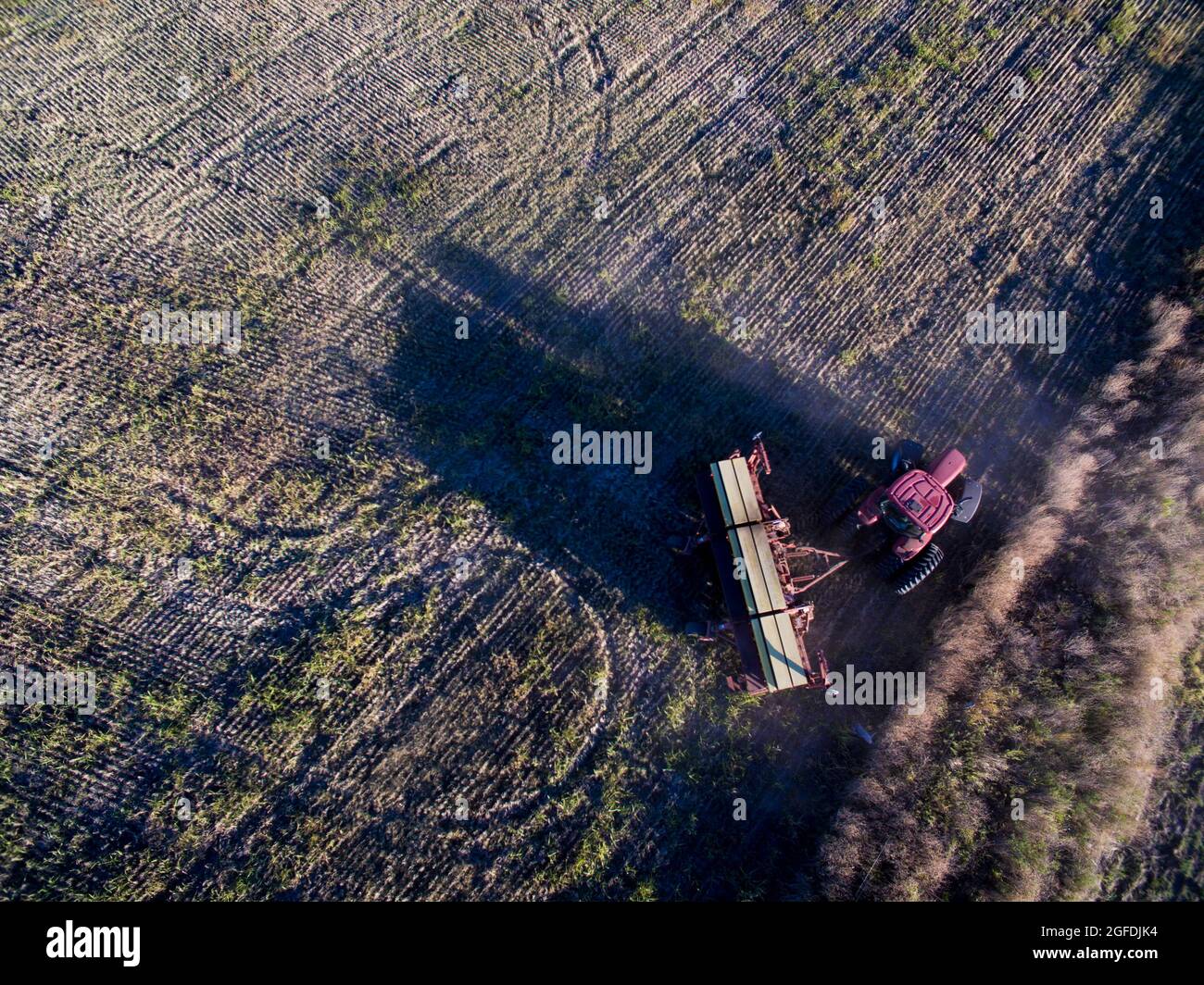 Direct planting hi-res stock photography and images - Alamy