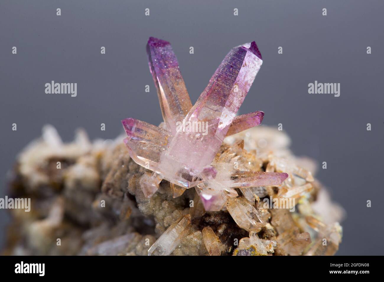 amethyst mineral specimen stone rock geology gem crystal Stock Photo ...
