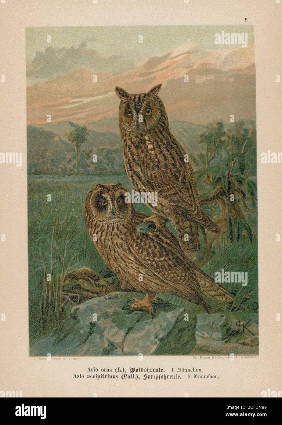 Gera s hi-res stock photography and images - Alamy