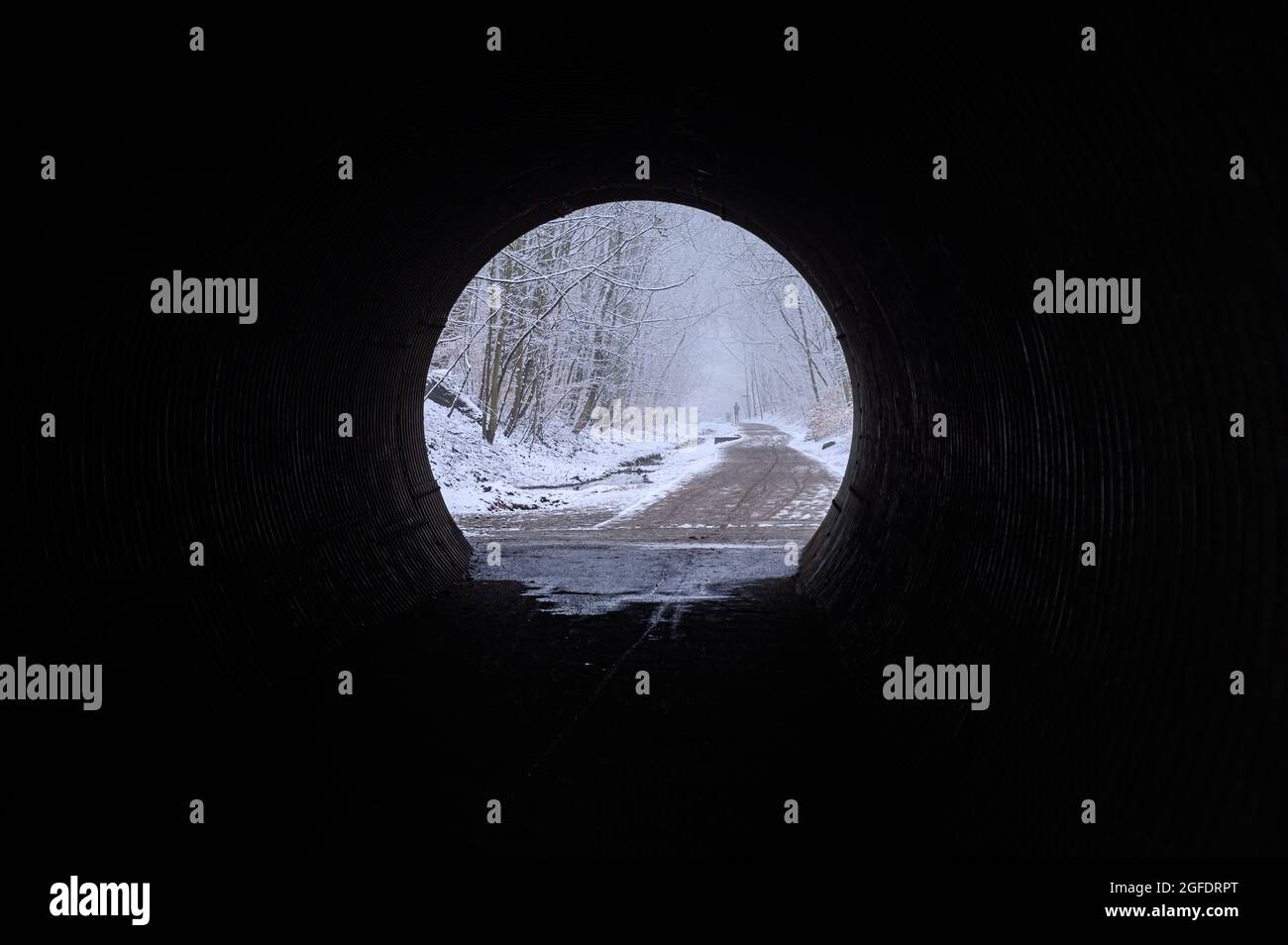 Tyldesley Loopline - Worsley Woods, Worsley. Former railway line Stock ...