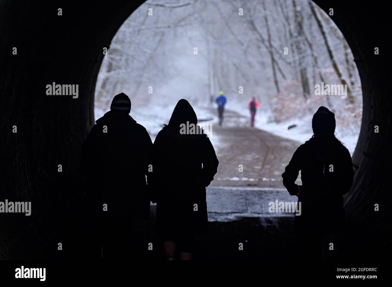Tyldesley Loopline - Worsley Woods, Worsley. Former railway line Stock ...